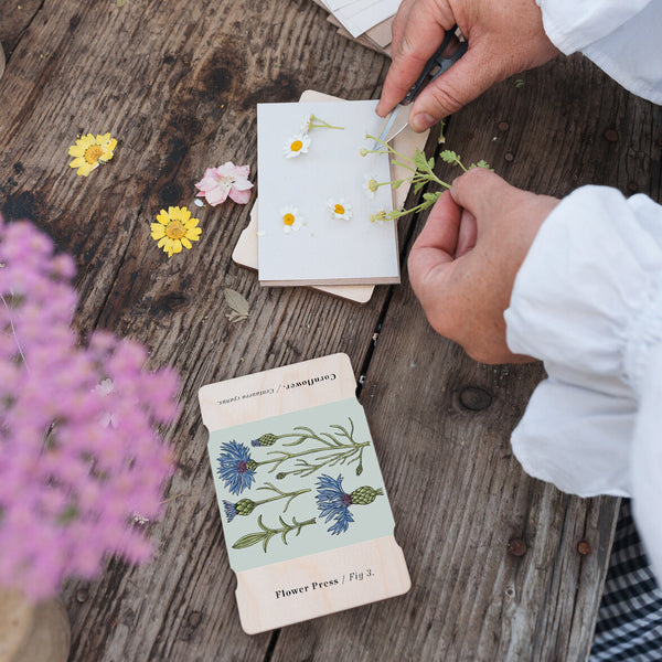 Pocket Flower Press - Cornflowers – The Cozy Journal